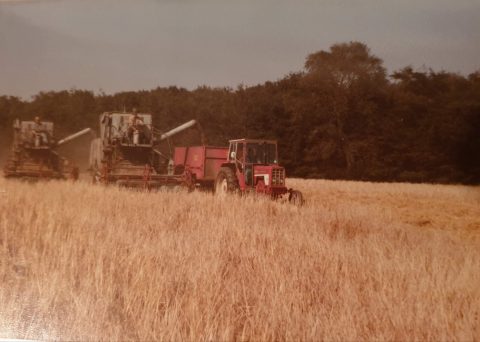 Fergus Anderson | personal web site