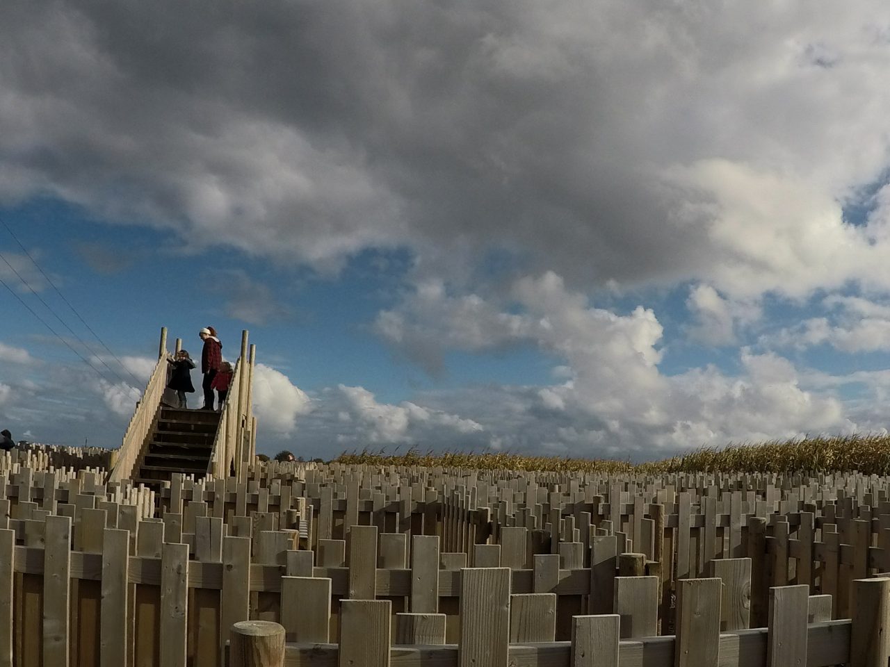 About Me | Fergus Anderson